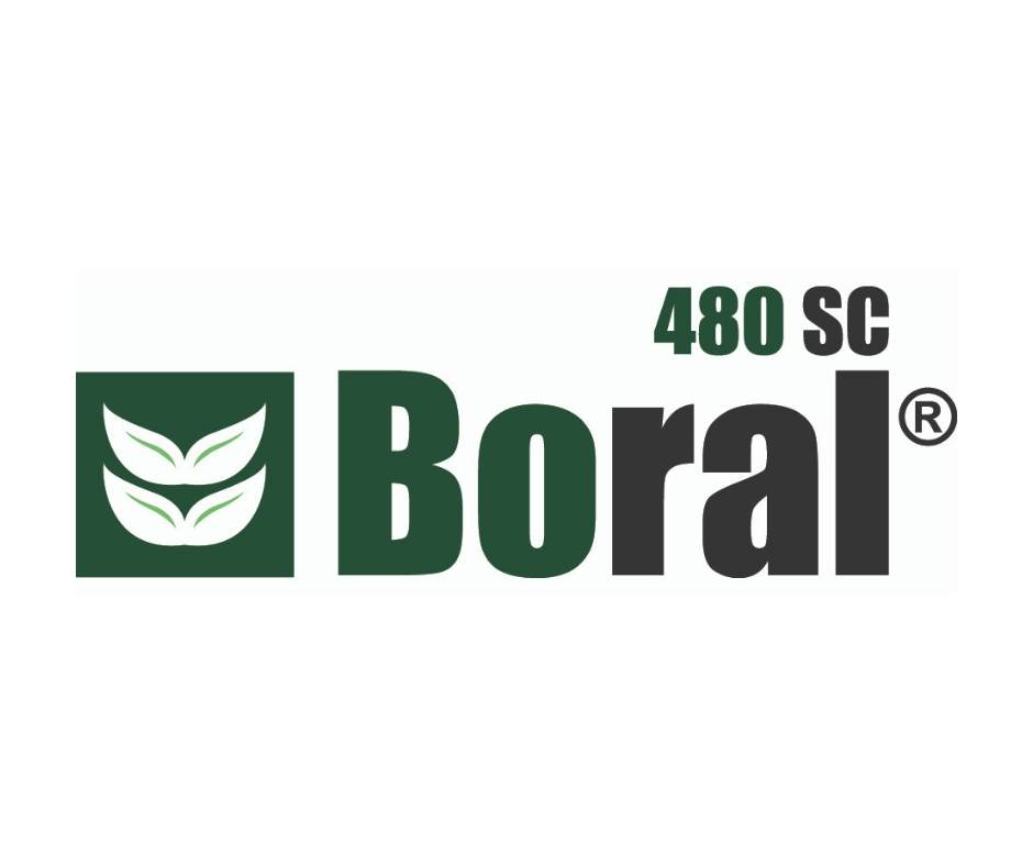 Boral 48 SC - 1L - Rancho El Cuervo